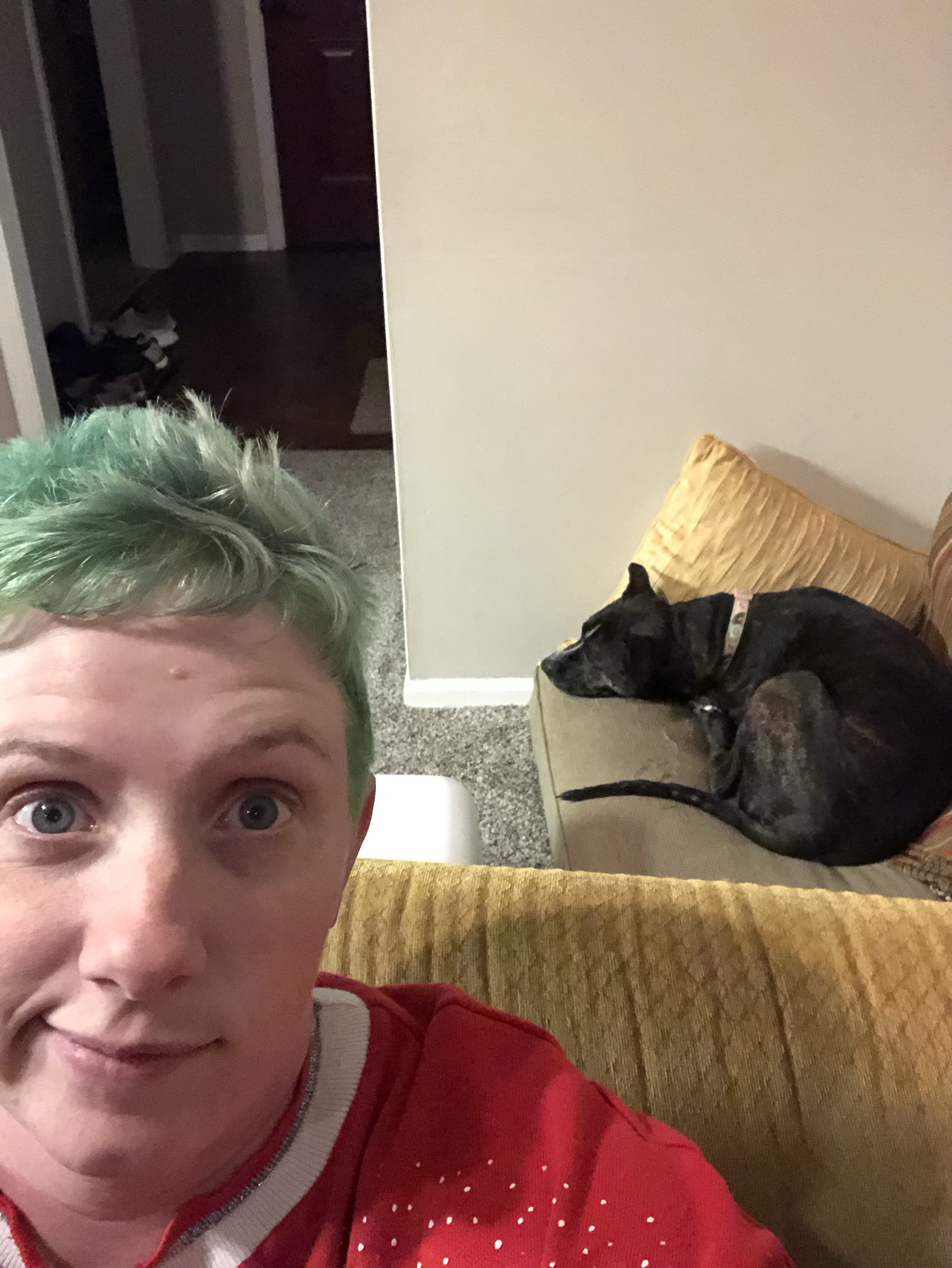 Writing Is Hard – My Social Media-less Life